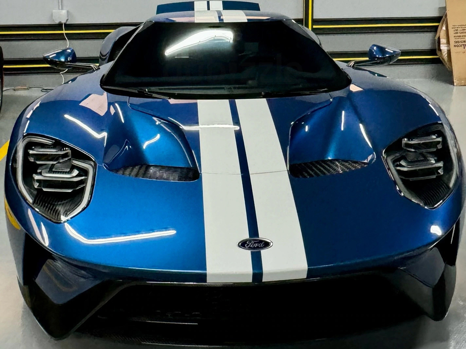 ECR - Ford GT details