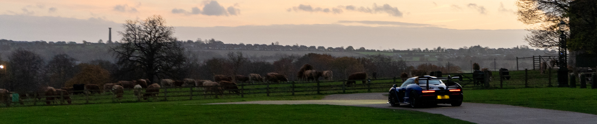 ECR - Portfolio - Reuben Smith