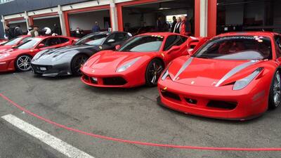 ECR - Collection - LDO Racing collection - About