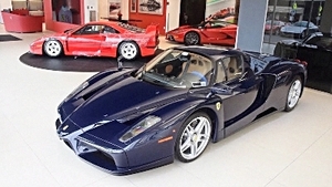 ECR - Ferrari Enzo details