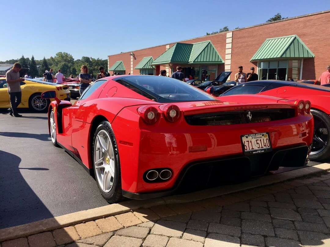 ECR - Ferrari Enzo details