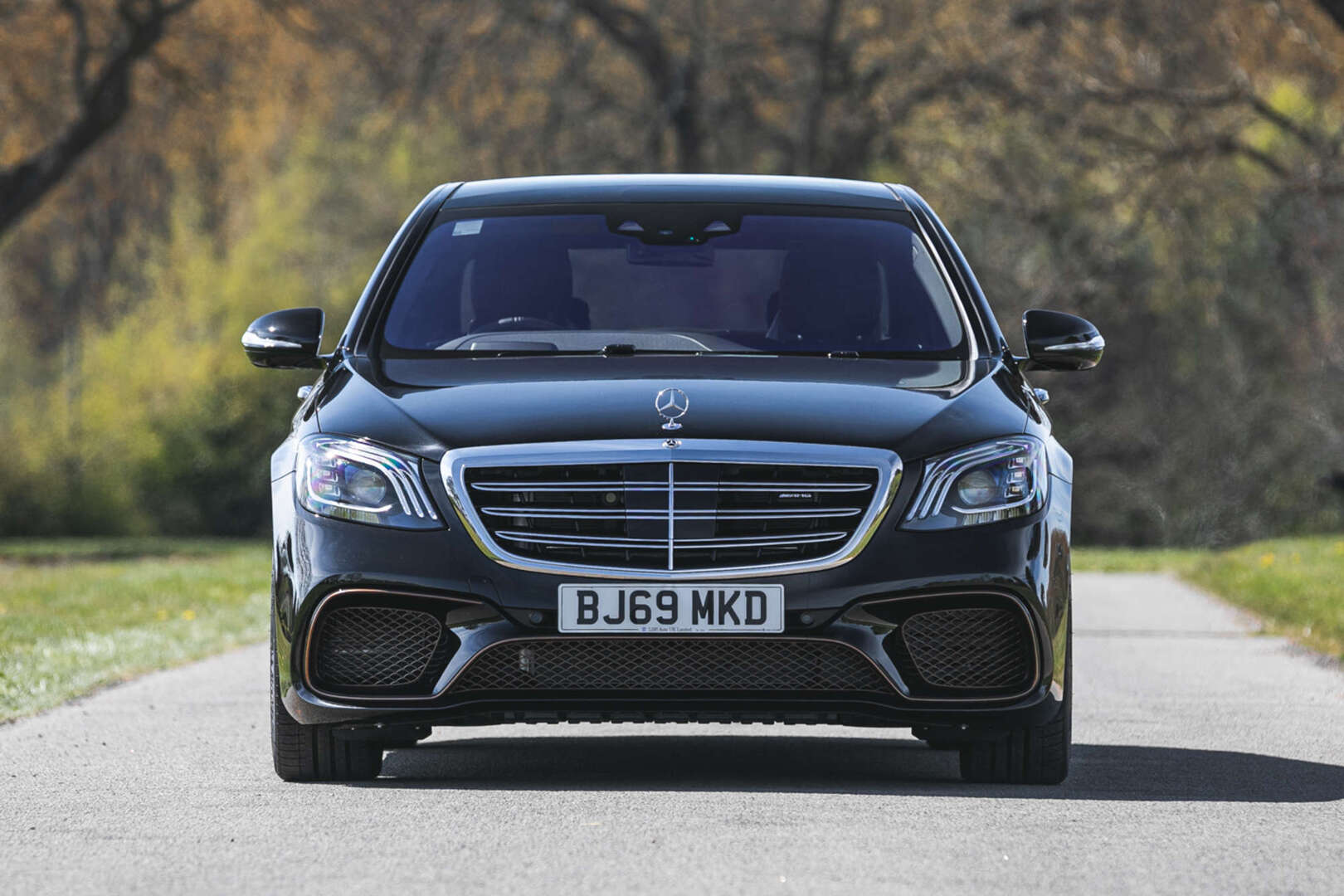 ECR - Mercedes-AMG S 65 Final Edition details